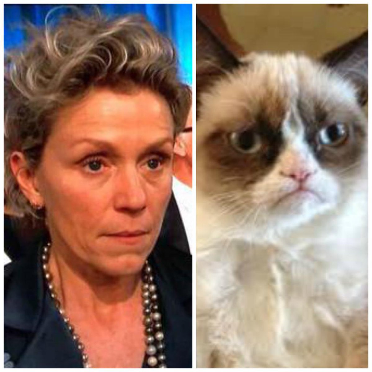 Los mejores memes de los Globos de Oro | Fotogalería | Radio | LOS40 ...