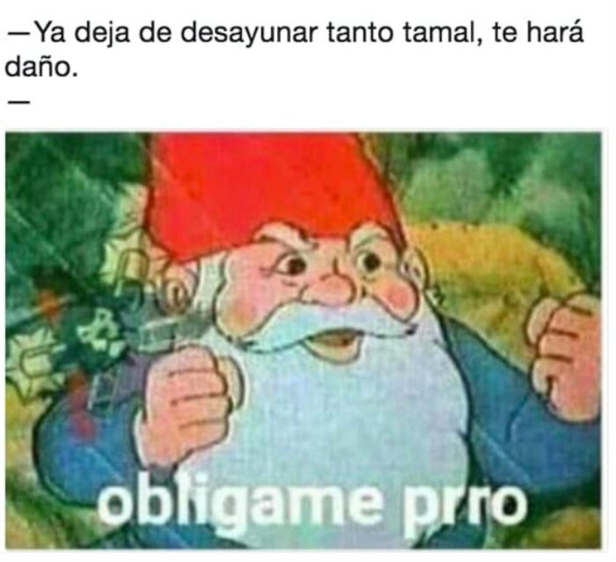 Conoce la historia del meme "Oblígame prro" | Fotogalería | Radio ...